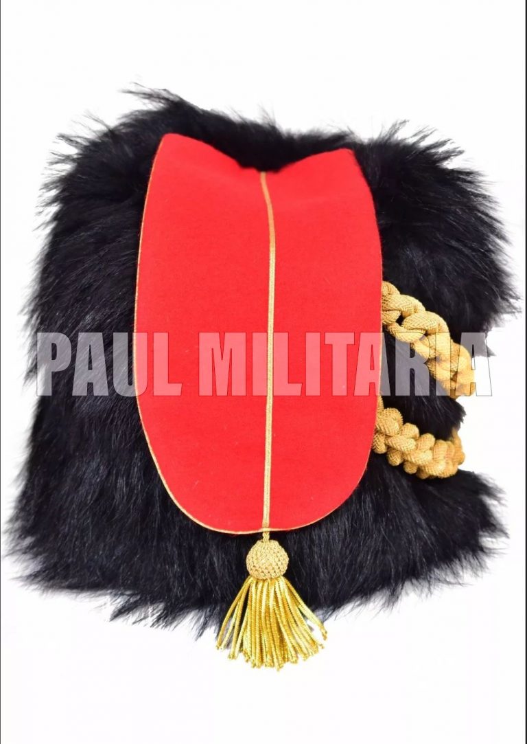 Napoleonic Light cavalry officer's collar with racquet cord, and chin ...