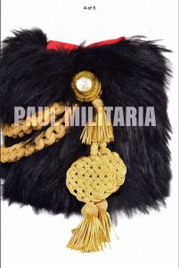 Napoleonic Light cavalry officer's collar with racquet cord, and chin ...