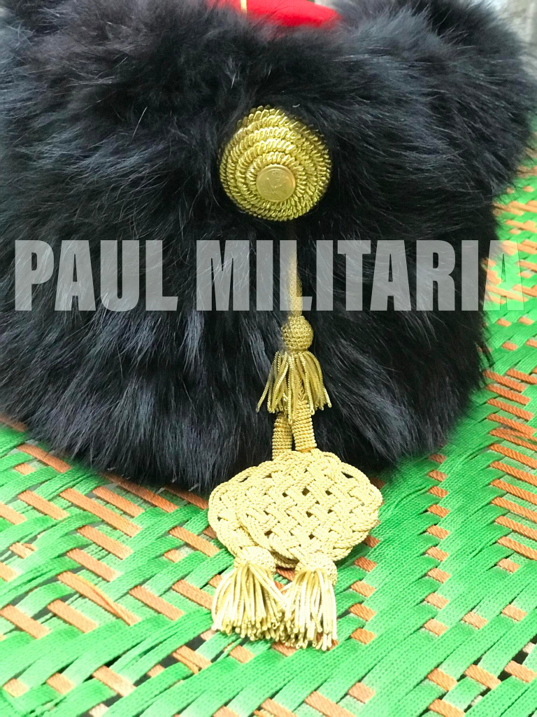 French Napoleonic Colback for "guard horse hunter" (Racoon Fur)