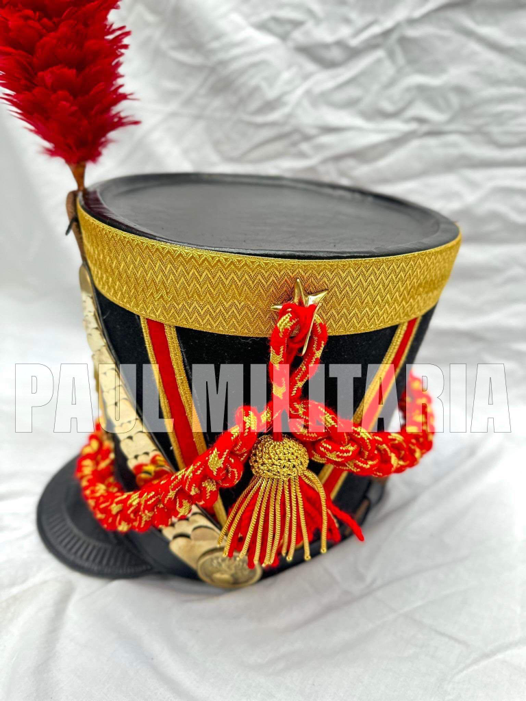 Shako Of Young Guard Infantry with foot artillry of guard Eagle